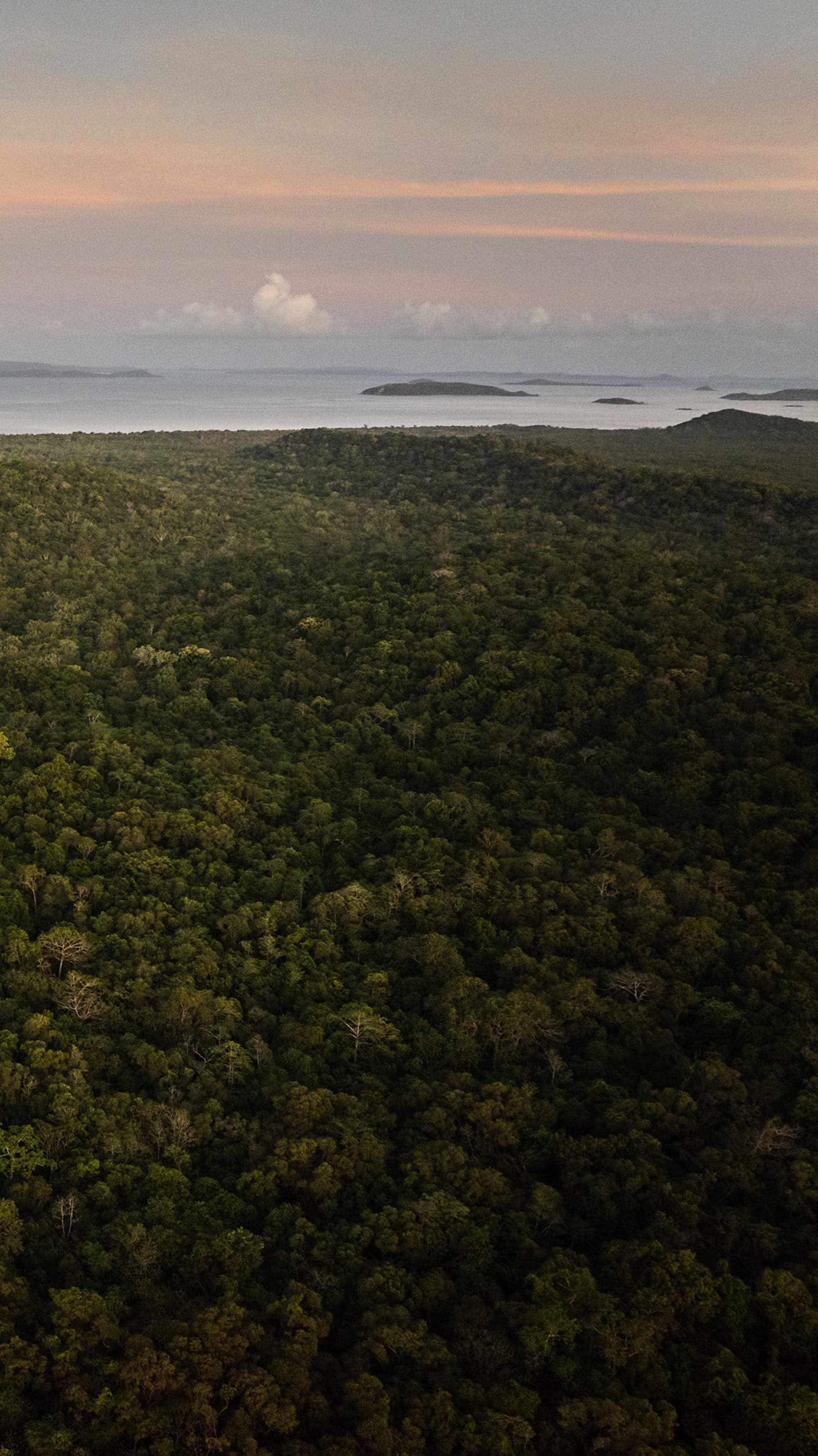 Louis Vuitton & People For Wildlife | LOUIS VUITTON